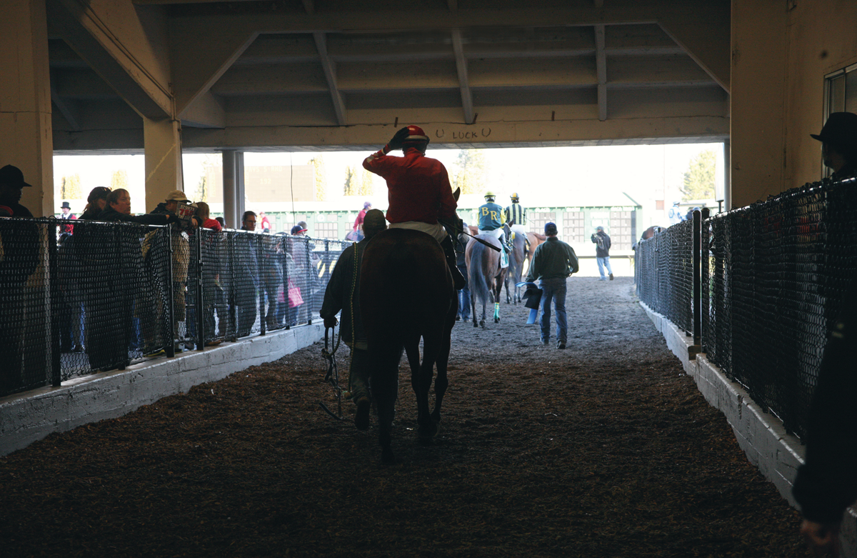 Cathy Cheney: A big year at the races - Portland Business Journal