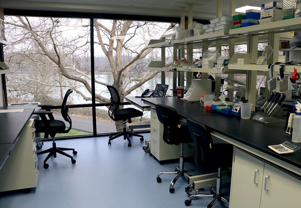 Cool Spaces: Marrying first rate research labs with a killer view ...