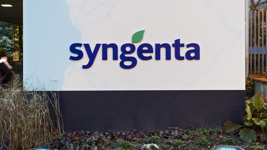 Syngenta to sell off flower seeds business; no direct RTP impact ...