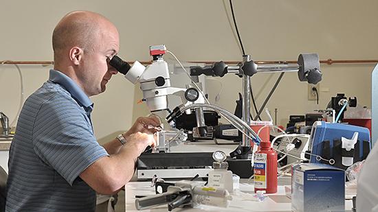 Delcath stock gets boost from FDA drug designation - Albany Business Review