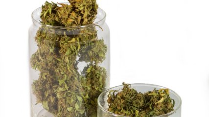 University of Denver adds professor of pot - Denver Business Journal