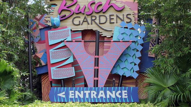 Celebratory gunfire bullet hits Busch Gardens visitor - Tampa Bay ...