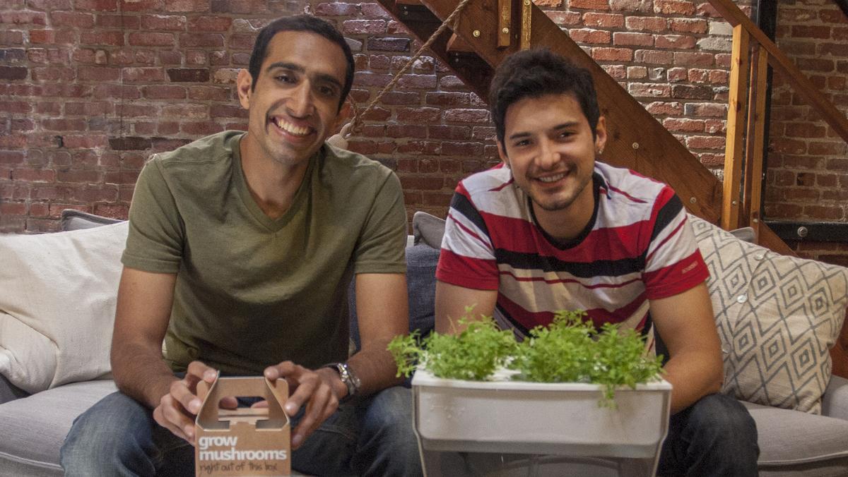 Nikhil Arora: Co-founder, Back to the Roots - San Francisco Business Times