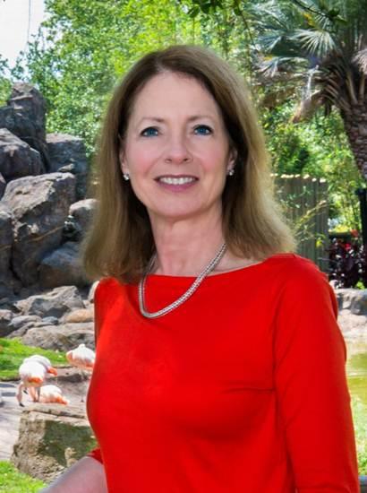 Houston's Bizwomen Mentoring Monday 2014 Class - Bizwomen