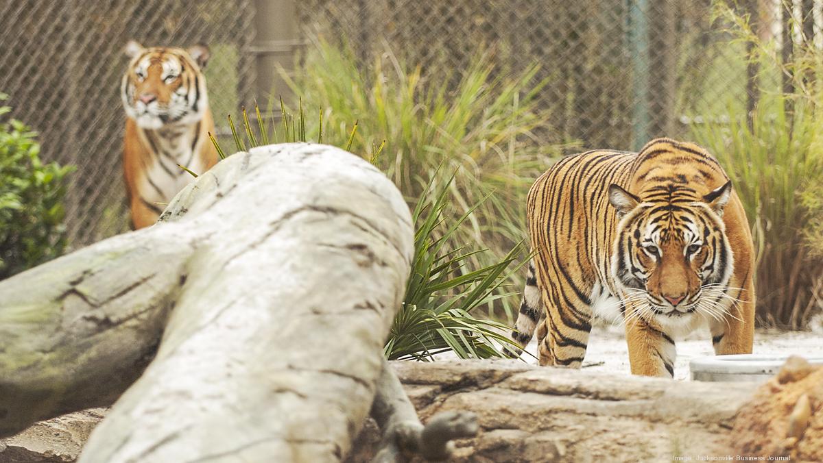 PETA pressured Porsche on tiger cubs - Atlanta Business Chronicle