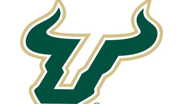 USF St. Pete calls time out on business fights - Tampa Bay Business Journal