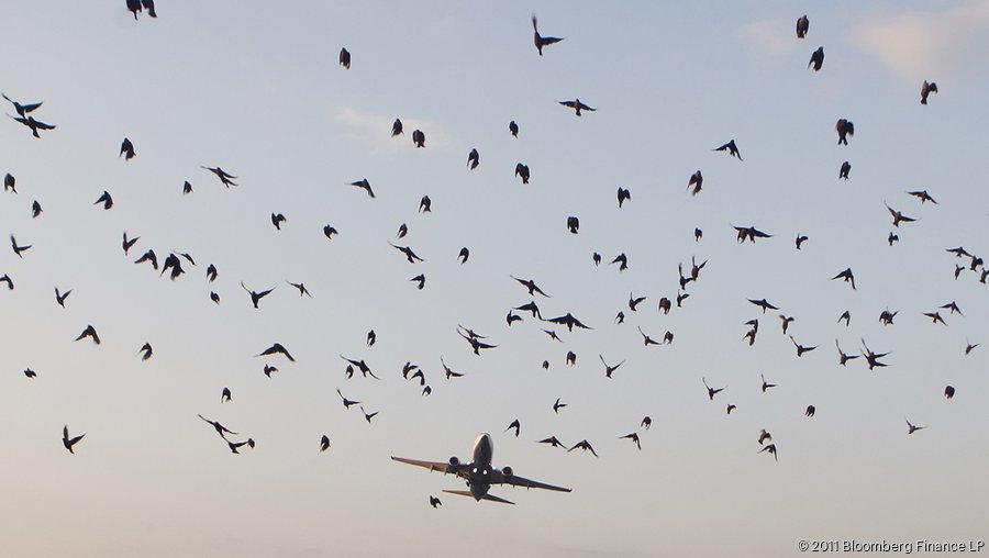 Virtual bird-strike test agreement early example of Wichita State tech ...