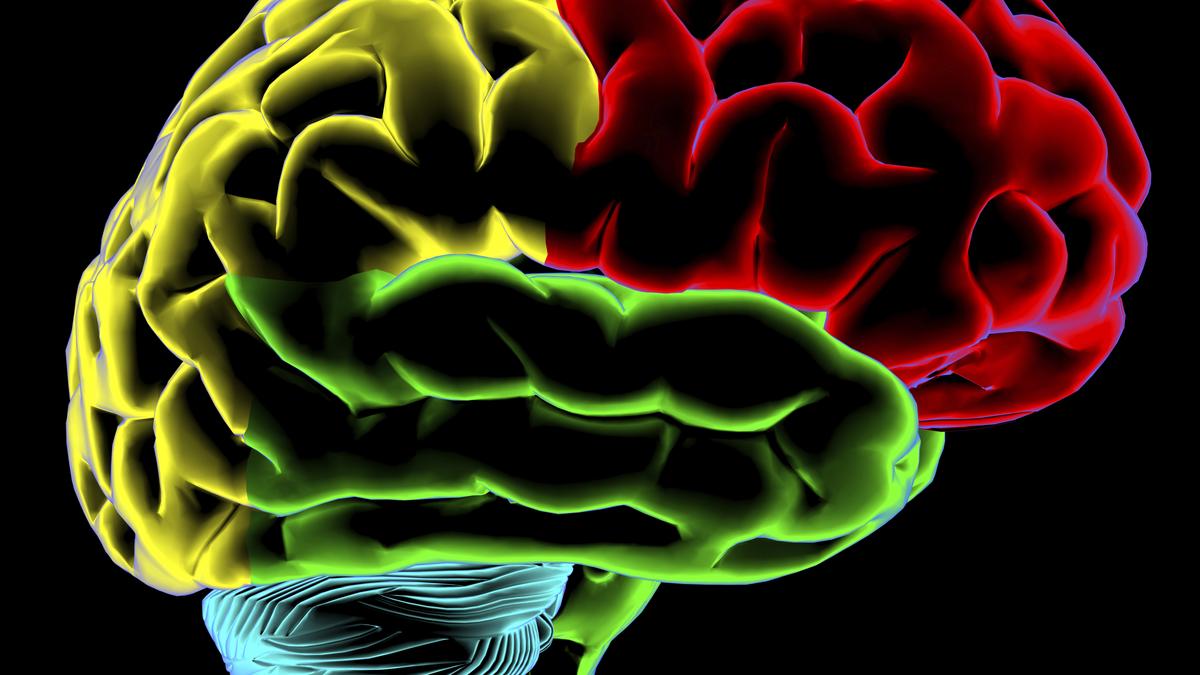 Accera hoping for an Alzheimer’s breakthrough - Denver Business Journal