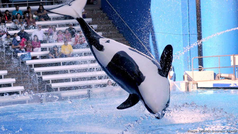 SeaWorld expects small dive in revenue, more for rest of 2014 - Orlando ...