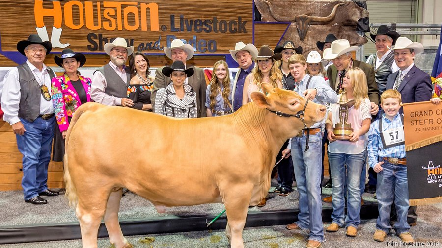 Houston Livestock Show and Rodeo makes changes for 2021 - Houston ...