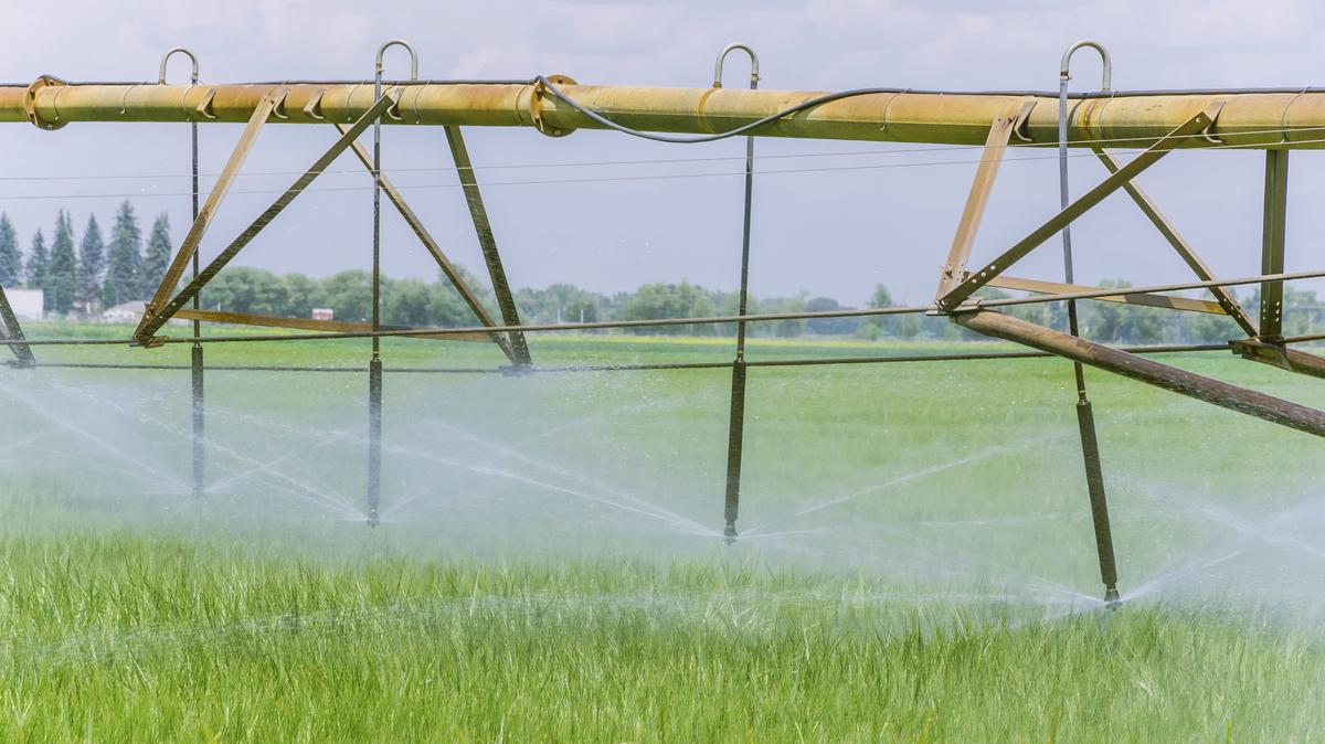 Tech-led Oregon startup offers eco-friendly way to save water on farms ...