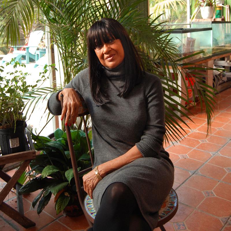 Orlando's 2014 Women Who Mean Business honorees - Bizwomen