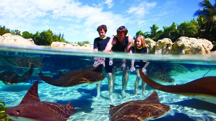 Aquatica's newest attraction is nearly ready for guests - Orlando ...