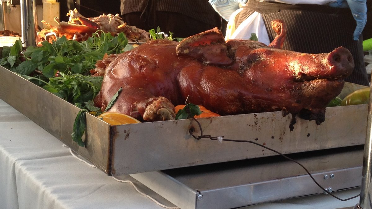 New chef to head up Hamilton’s Kitchen at Alfond Inn - Orlando Business ...