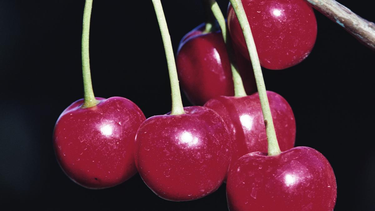 Cherry growers touting fruit's health benefits - Puget Sound Business ...
