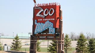 New Columbus Zoo leader seeks to repair trust while he rebuilds the ...