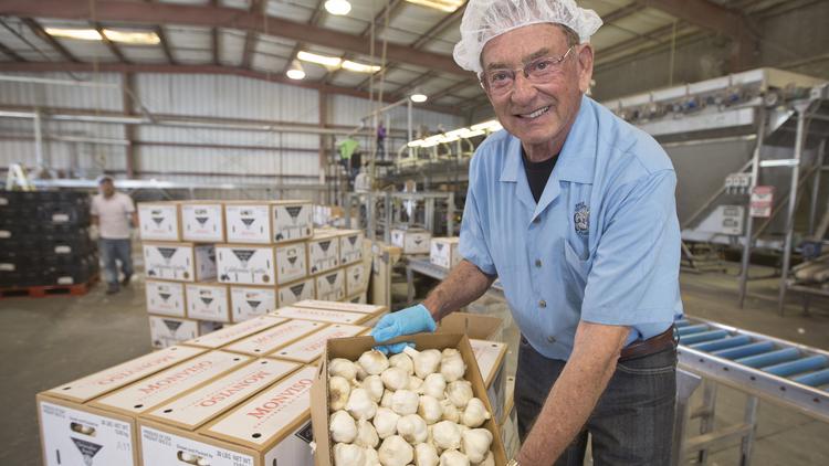 As Gilroy Garlic Festival celebrates 40th anniversary, hometown garlic ...