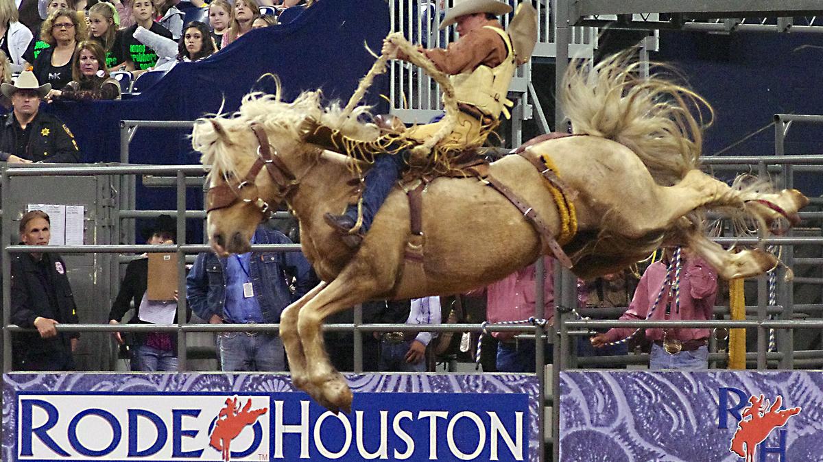 RodeoHouston working to launch digital marketplace for retail, food ...