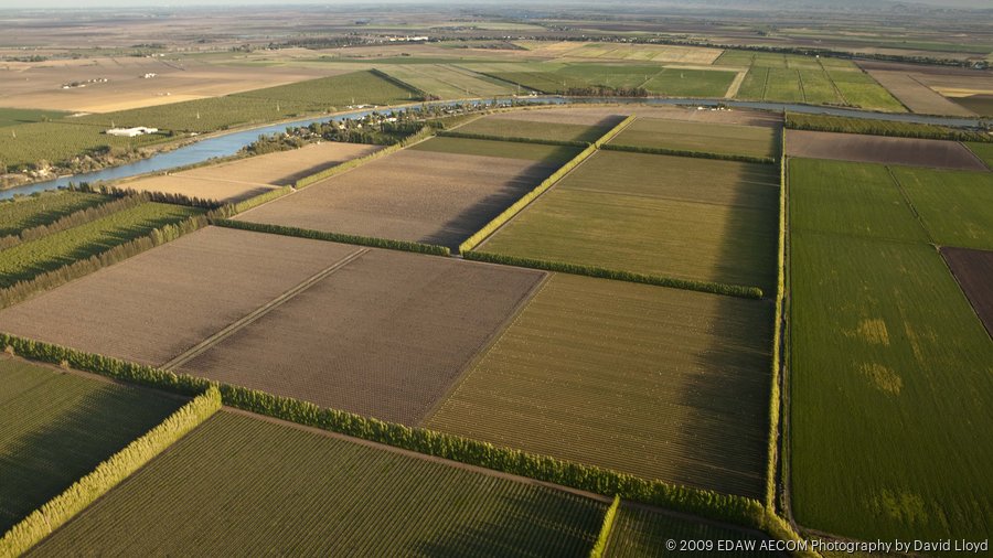 Aecom promotes Rudd to CEO, Poloni to president - L.A. Business First