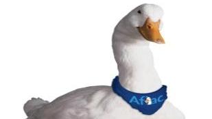 Aflac named to Latina Style's Best Places to Work list - Atlanta ...