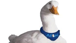 Report: Insurance giant Aflac on the hunt for new ad agency - Atlanta ...