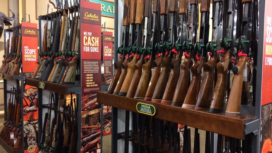 6 Cabelas Guns