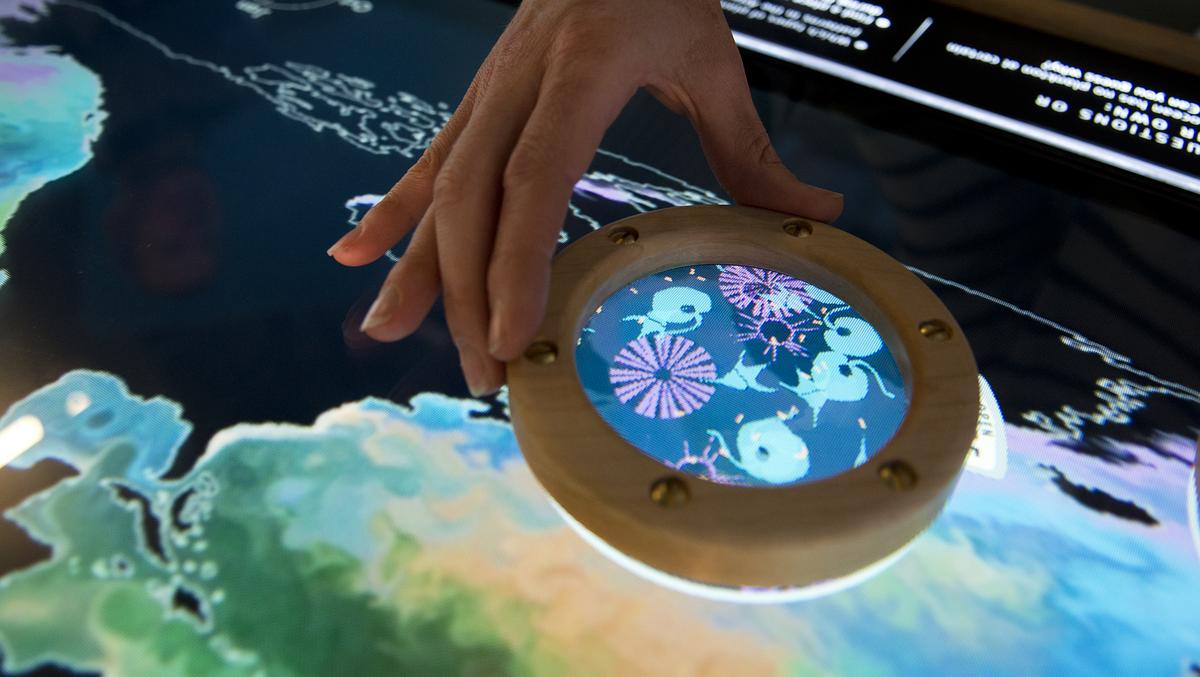 Exploratorium teams up with UC Davis - San Francisco Business Times