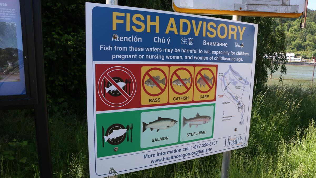 EPA: Portland Harbor Superfund cleanup design deal a ‘major milestone ...