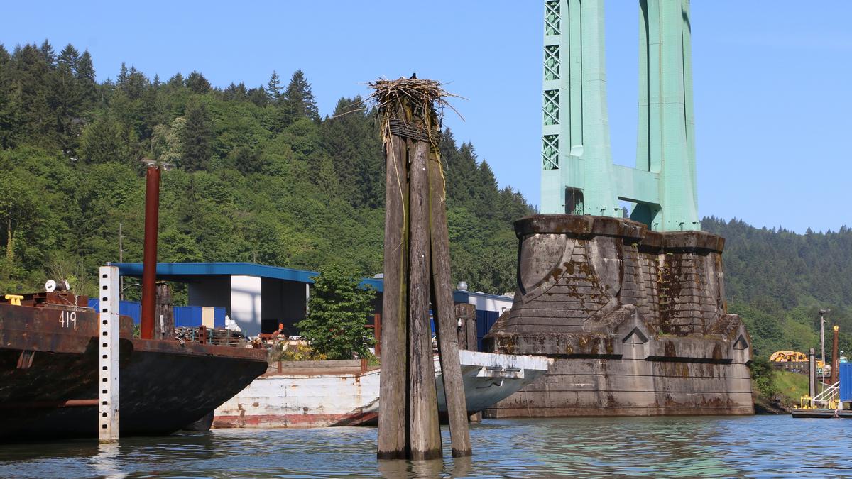 Business group blasts EPA's Portland Harbor Superfund cleanup plan ...
