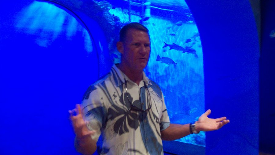‘Tanked’ stars showcase aquarium at Guy Harvey’s RumFish - Tampa Bay ...