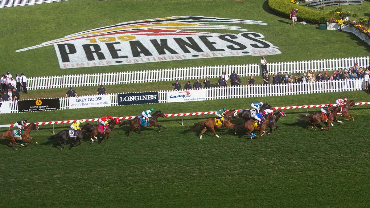 8 things you need to know this morning (about the Preakness ...