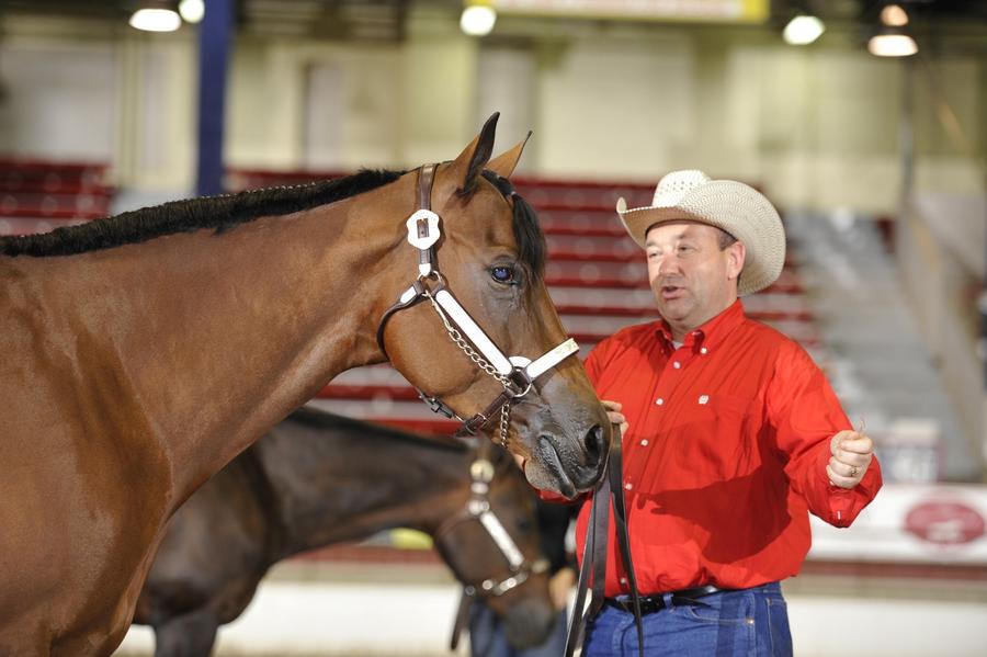 Scott O'Connell Trial Attorney Cowboy - Boston Business Journal