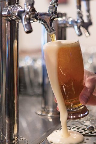 These Maryland brewers won awards at the Great American Beer Festival ...