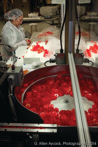 Greensboro-based Bright Plastics will expand production and add up to ...