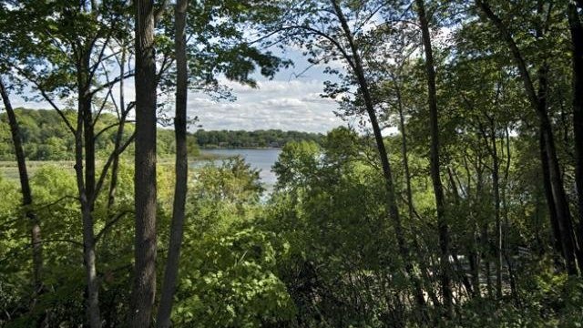 Dream Homes: Jared Allen lists Chanhassen home for $1.75M (Photos ...