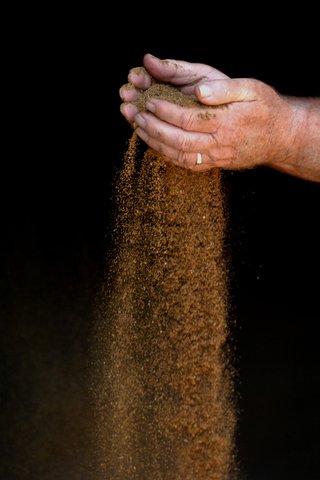 Cargill investing $45 million in West Memphis facility - Memphis ...