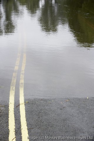 flooding generic NSH