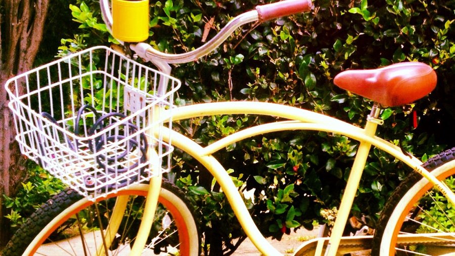 Bike Friendly