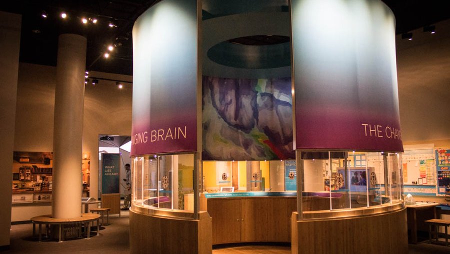 Franklin Institute brain exhibit opening in Philadelphia - Philadelphia ...