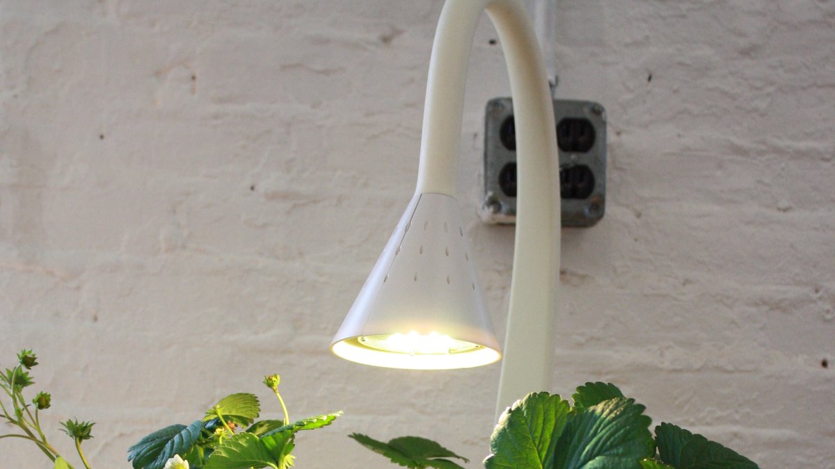 Three cool inventions from MIT students (slide show) - Boston Business ...