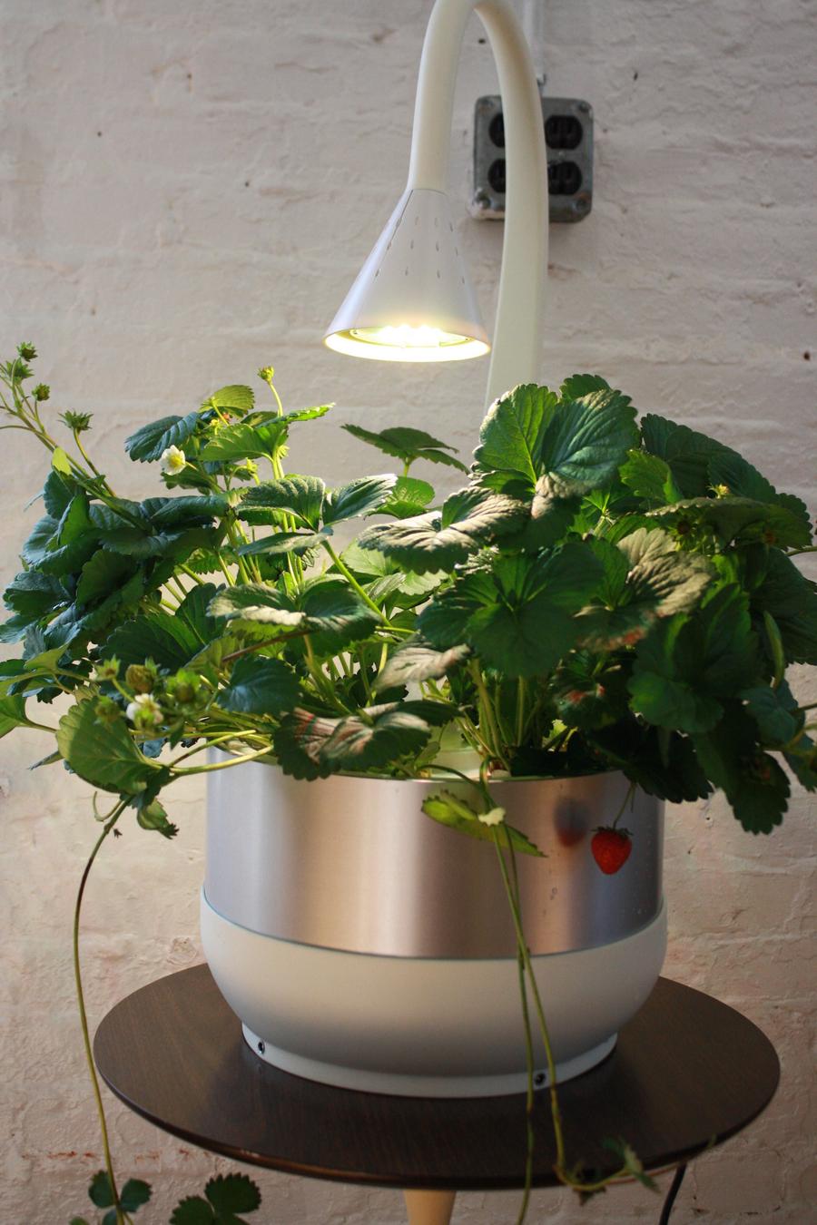 Three cool inventions by MIT students - Boston Business Journal