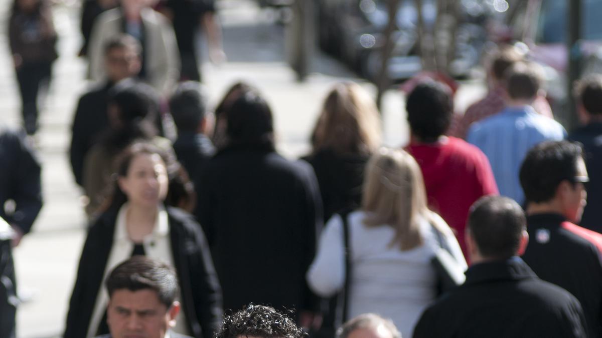 Too many business apps mean employees are ignoring actual work - San ...