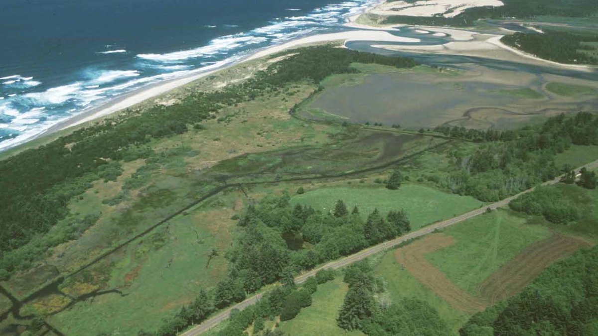 An estuary preserved: 6 things to know about Oregon's next park (Photos ...