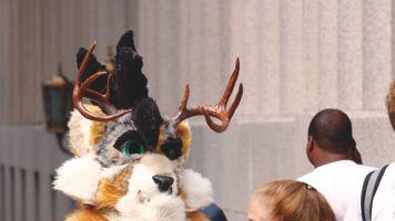 Anthrocon sets record for attendance - Pittsburgh Business Times