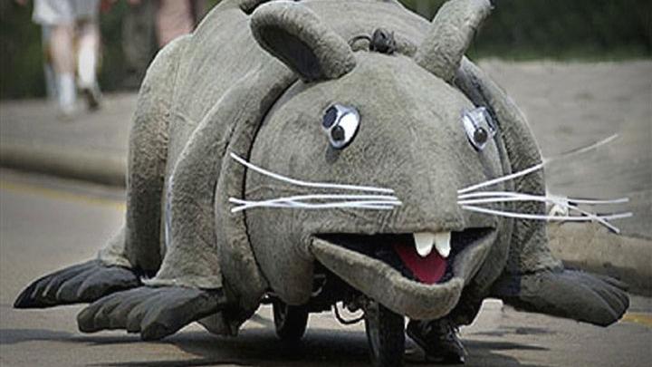 Baltimore can't find enough workers to solve its rat problem ...