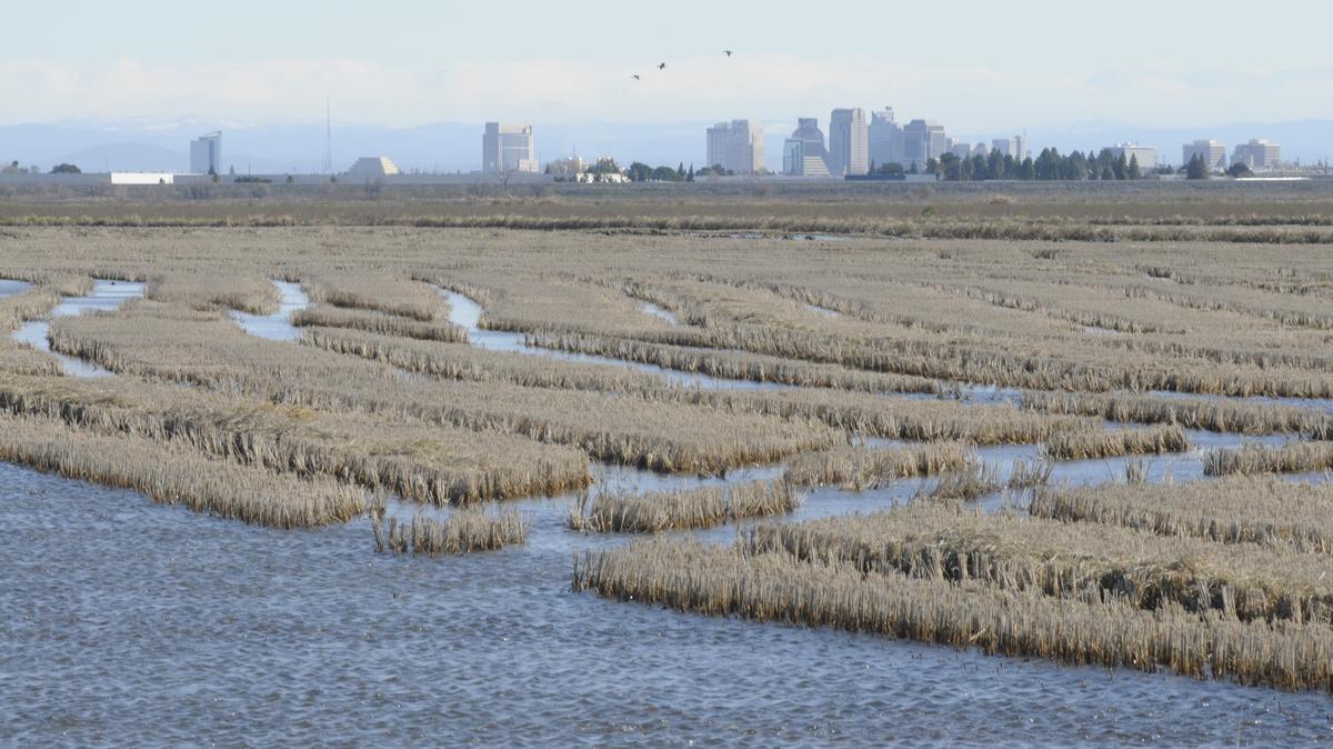 Building a better brand for the region: In defense of Sacramento's ...