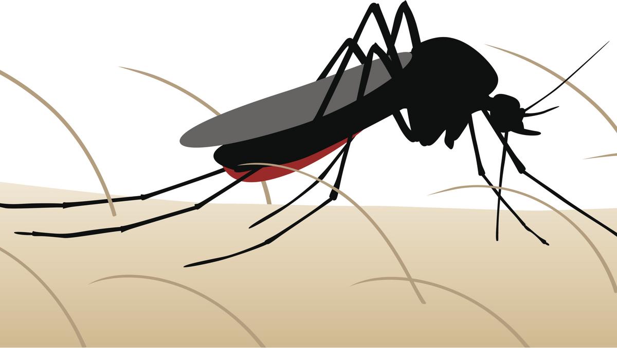 Of Foles, Alabama, mosquitoes & the PPA - Philadelphia Business Journal