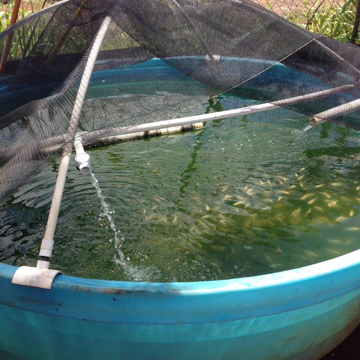 $40M invested thus far on major Oahu farming plan - Pacific Business News