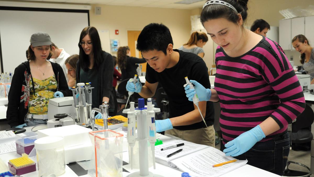 Orlando Science Center, Young Entrepreneurs Academy launch new STEM ...