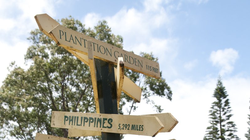 Dole Plantation sign